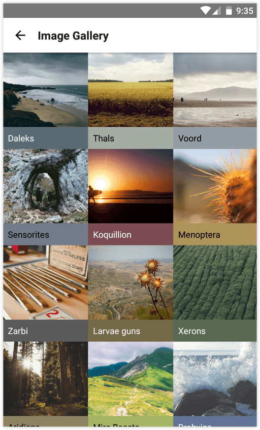 Color your apps using Material Palette - Raul Gomez Acuña